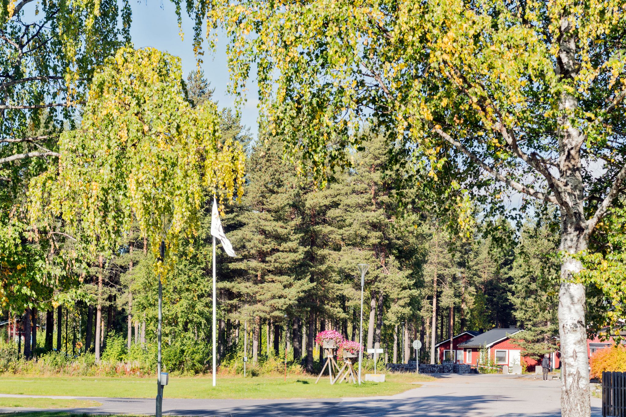 Jokkmokk – Zentrum der samischen Kultur → Tour2Discover