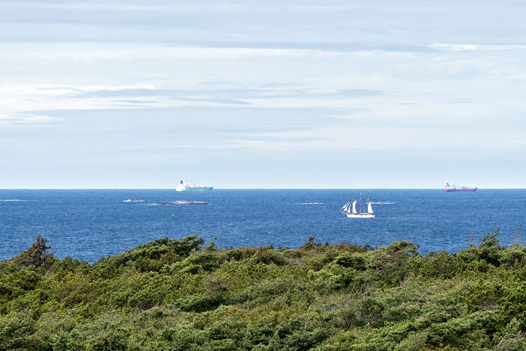 Marstrand – Immer einen Ausflug wert → Tour2Discover